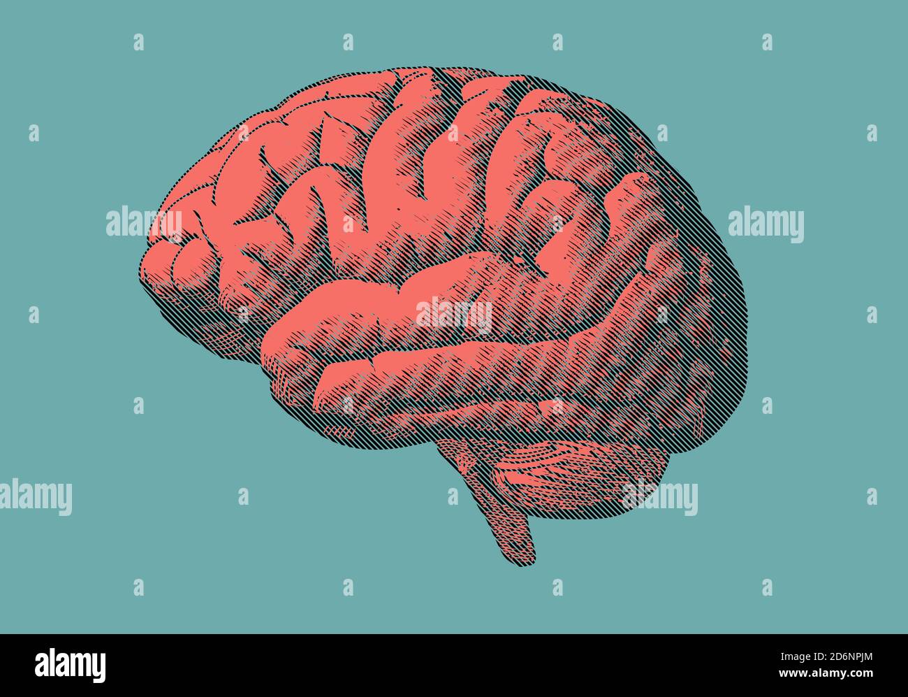 Engraving brain in retro orange color on turquoise green background ...