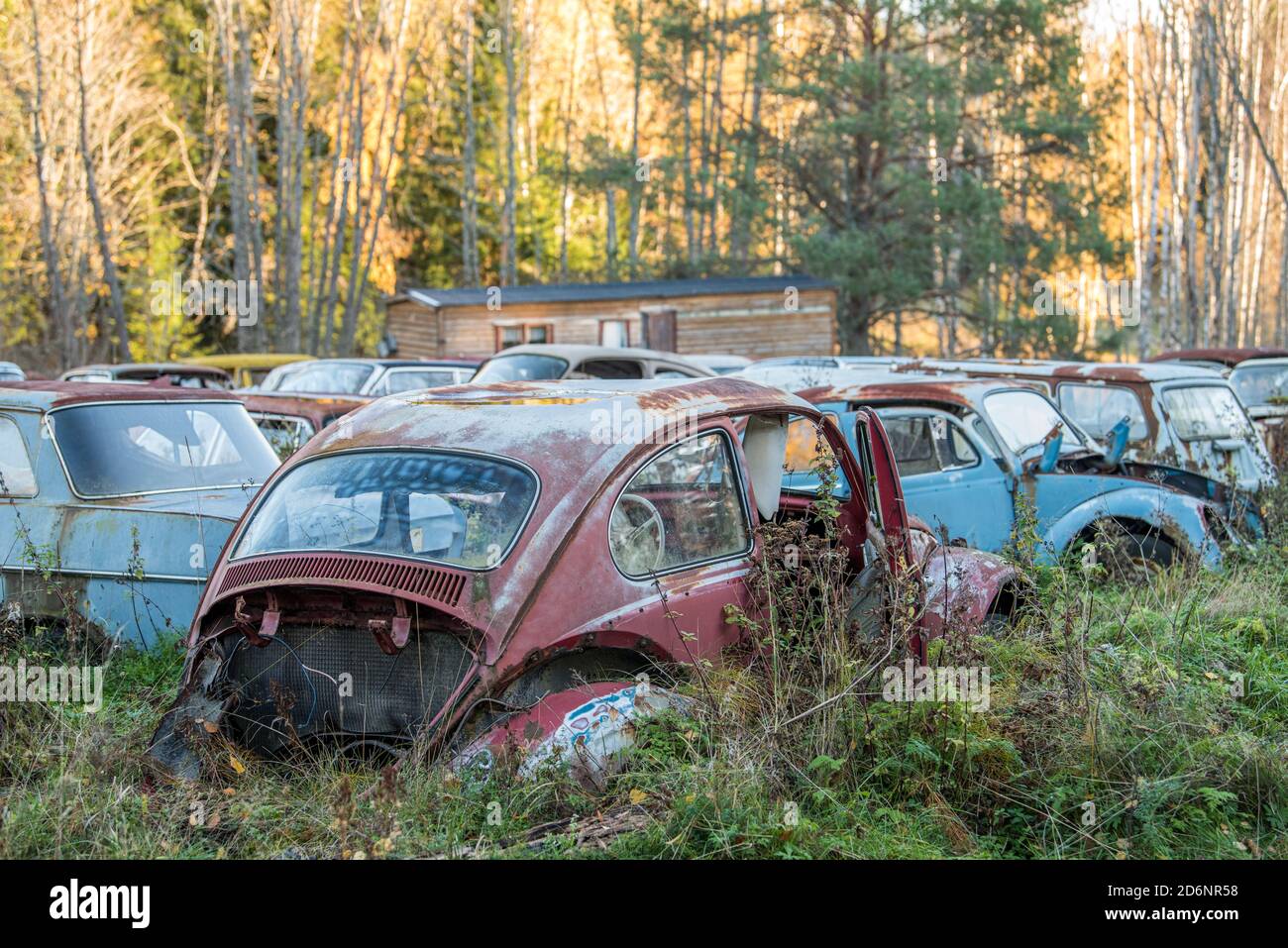 Car cemetery bastnas hi-res stock photography and images - Alamy
