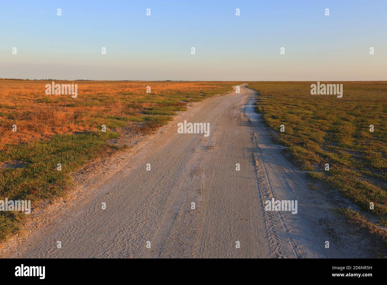 Landscape with rut road across desert Stock Photo - Alamy