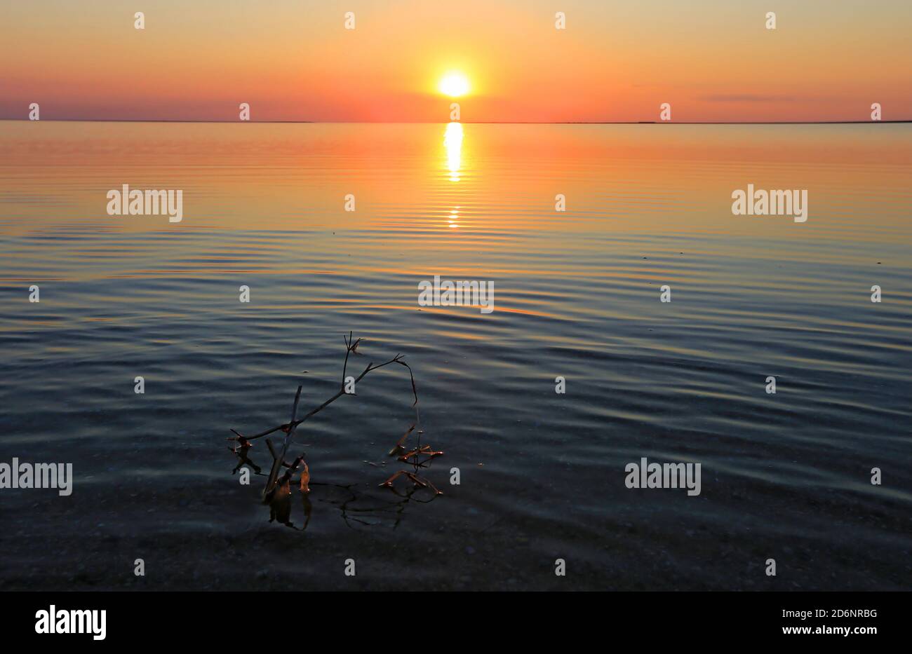 nice sunset scene over sea shore Stock Photo - Alamy
