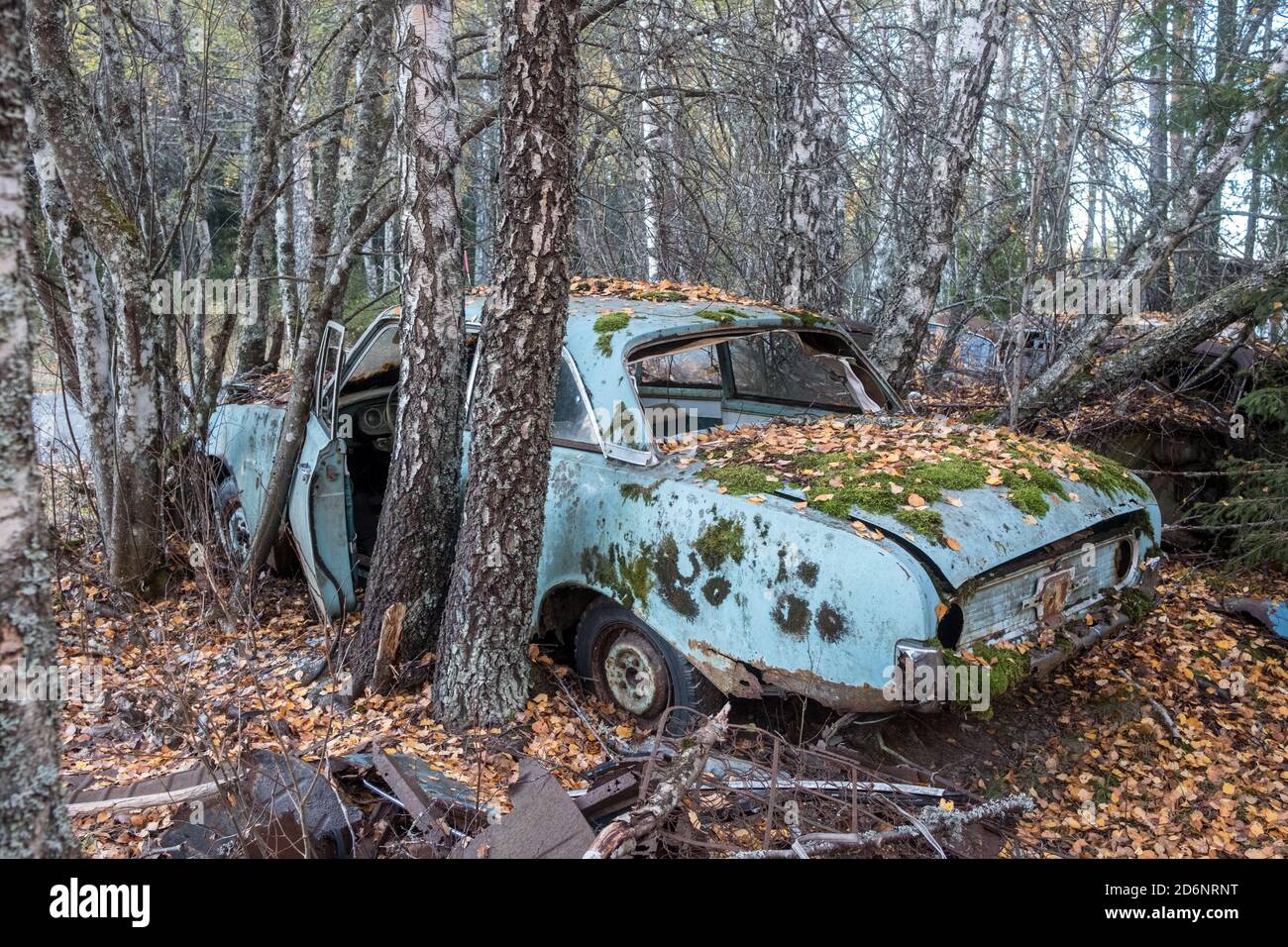 Car cemetery during autumn hi-res stock photography and images - Alamy