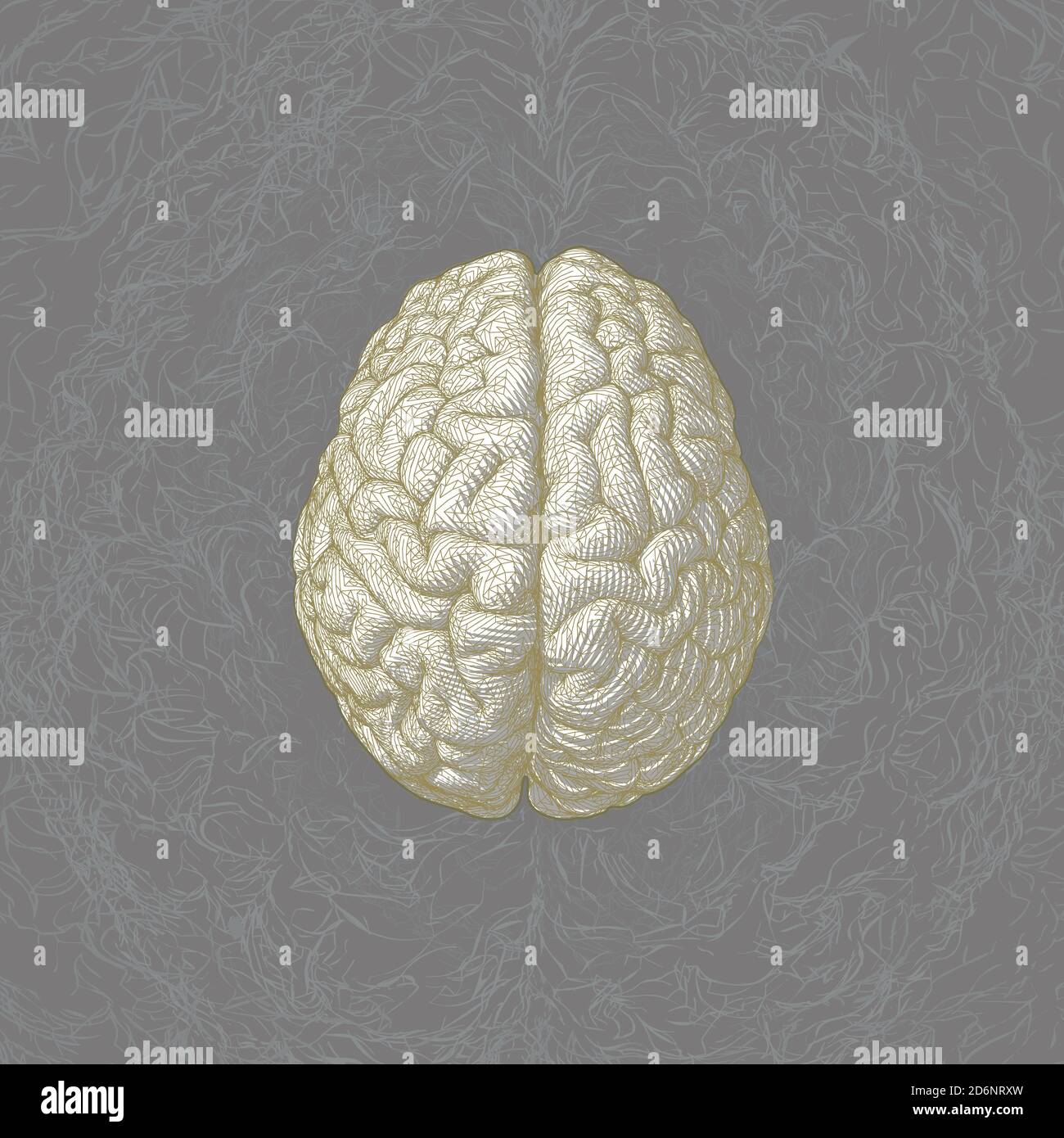 Golden stylized engraving brain illustration in top view isolated on ...