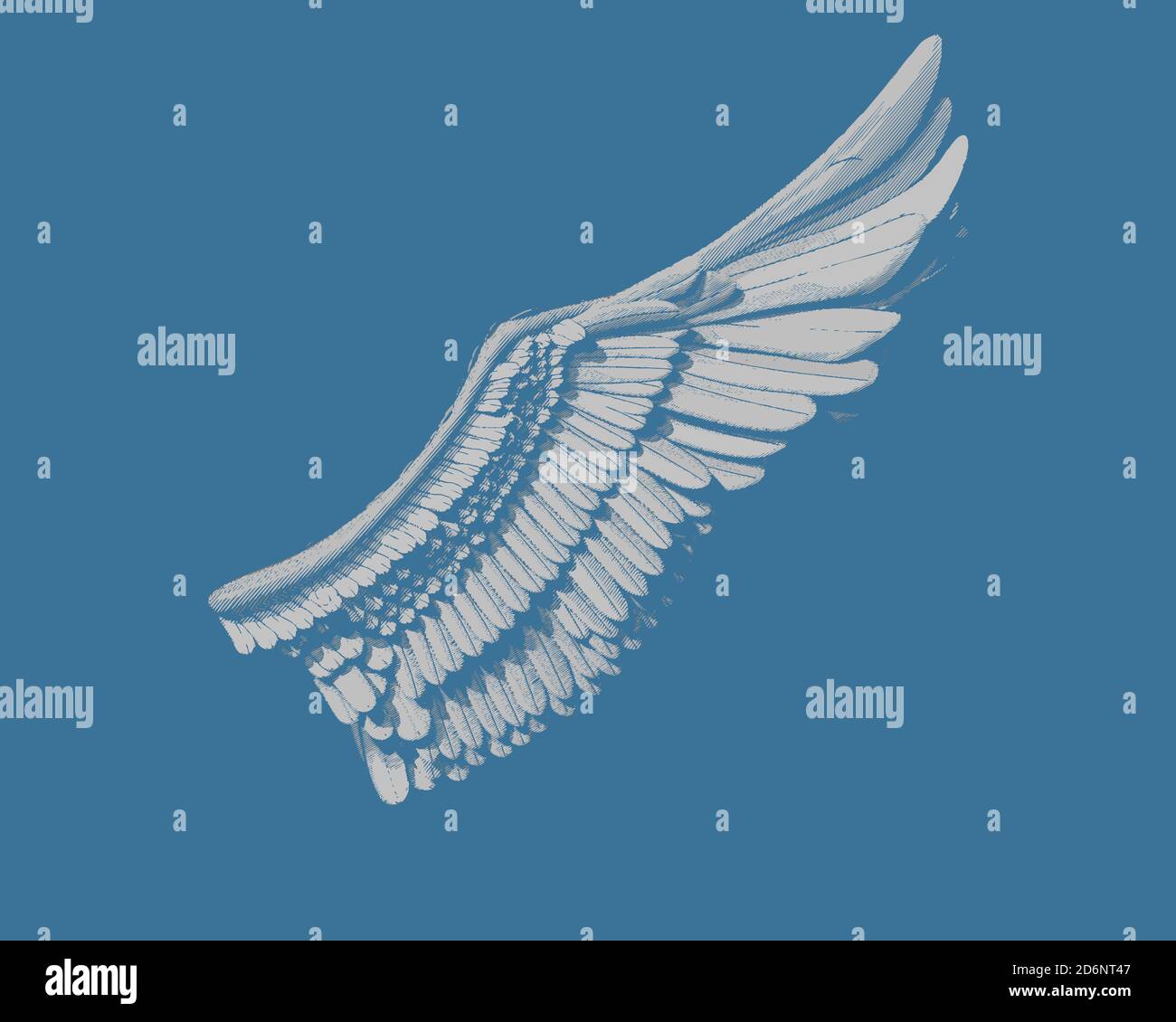 Wing engraving drawing in gray color illustration isolated on dark blue ...