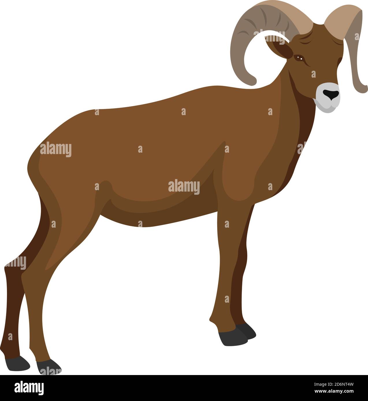 Mouflon animal, illustration, vector on white background Stock Vector ...