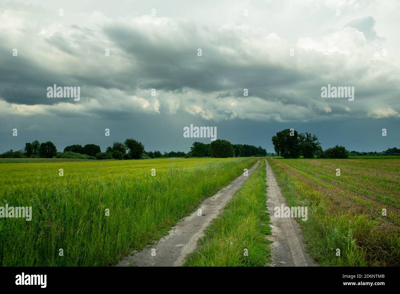 Rural road through green fields and rainy clouds on sky Stock Photo - Alamy