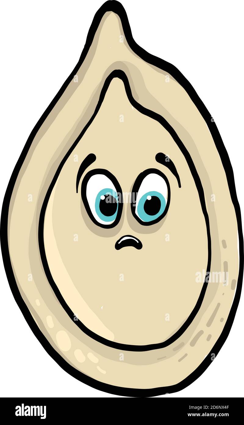 Sad pumpkin seed, illustration, vector on white background Stock Vector ...