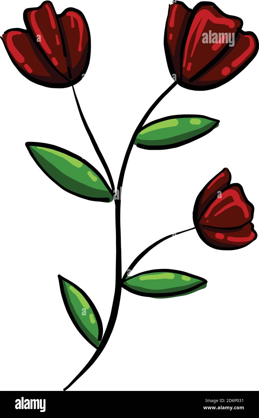 Three roses, illustration, vector on white background Stock Vector ...