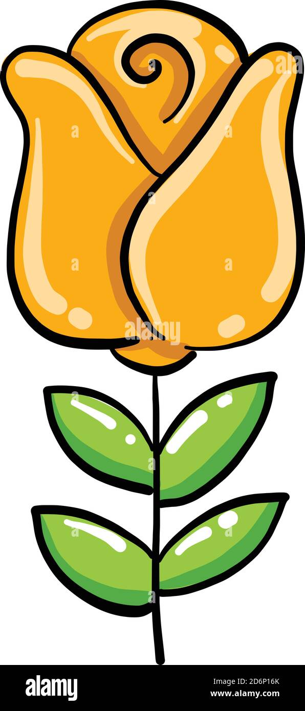 Yellow rose, illustration, vector on white background Stock Vector ...