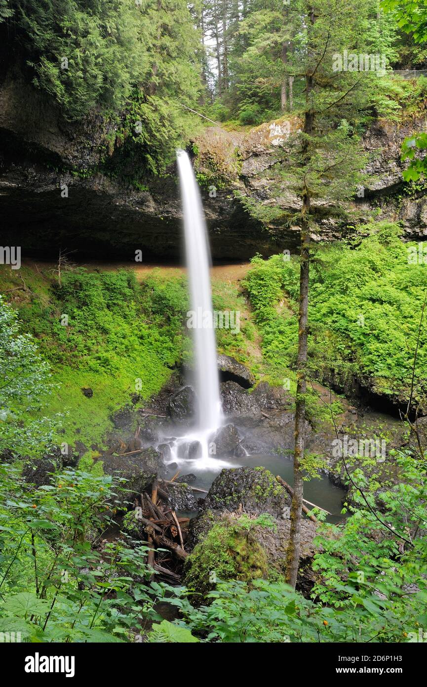 Body in state hi-res stock photography and images - Alamy