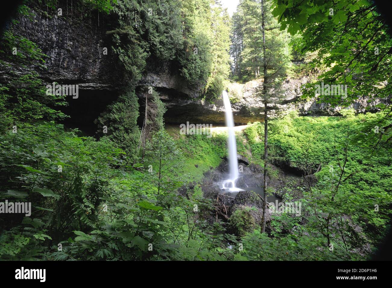 Silver Falls State Park, Oregon-USA Stock Photo - Alamy