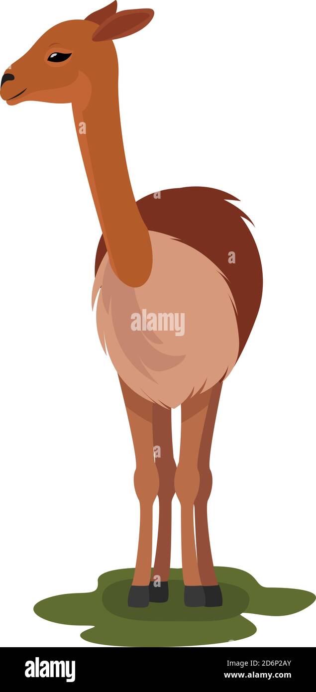 Brown vicuna, illustration, vector on white background Stock Vector ...