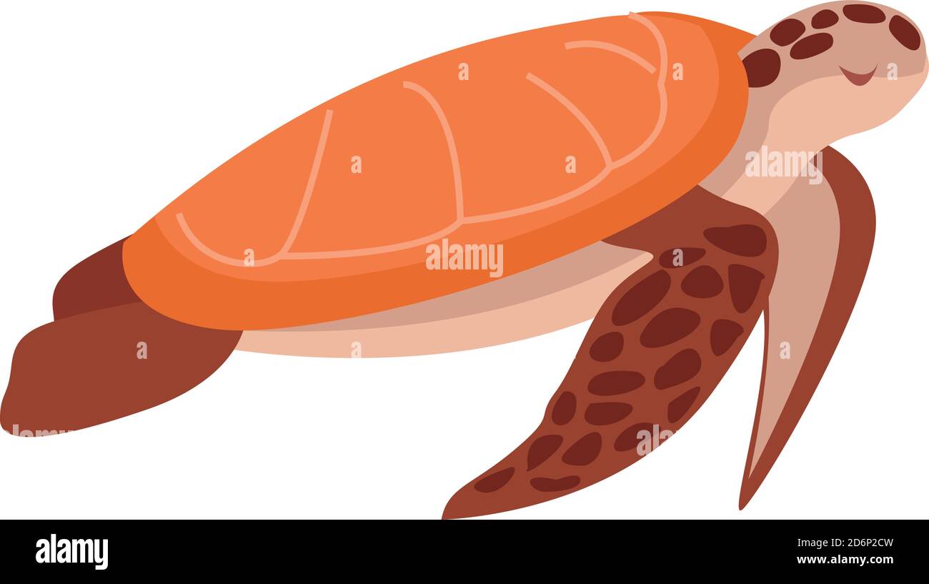 Sea turtle, illustration, vector on white background Stock Vector Image ...