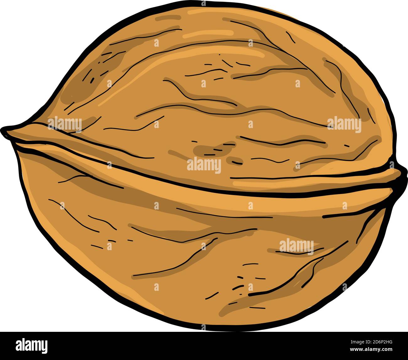 Simple brown walnut, illustration, vector on white background Stock ...