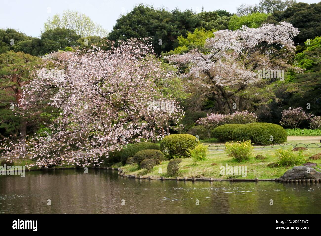 Shinjuku Gyoen National Garden, Tokyo, Japan Stock Photo - Alamy