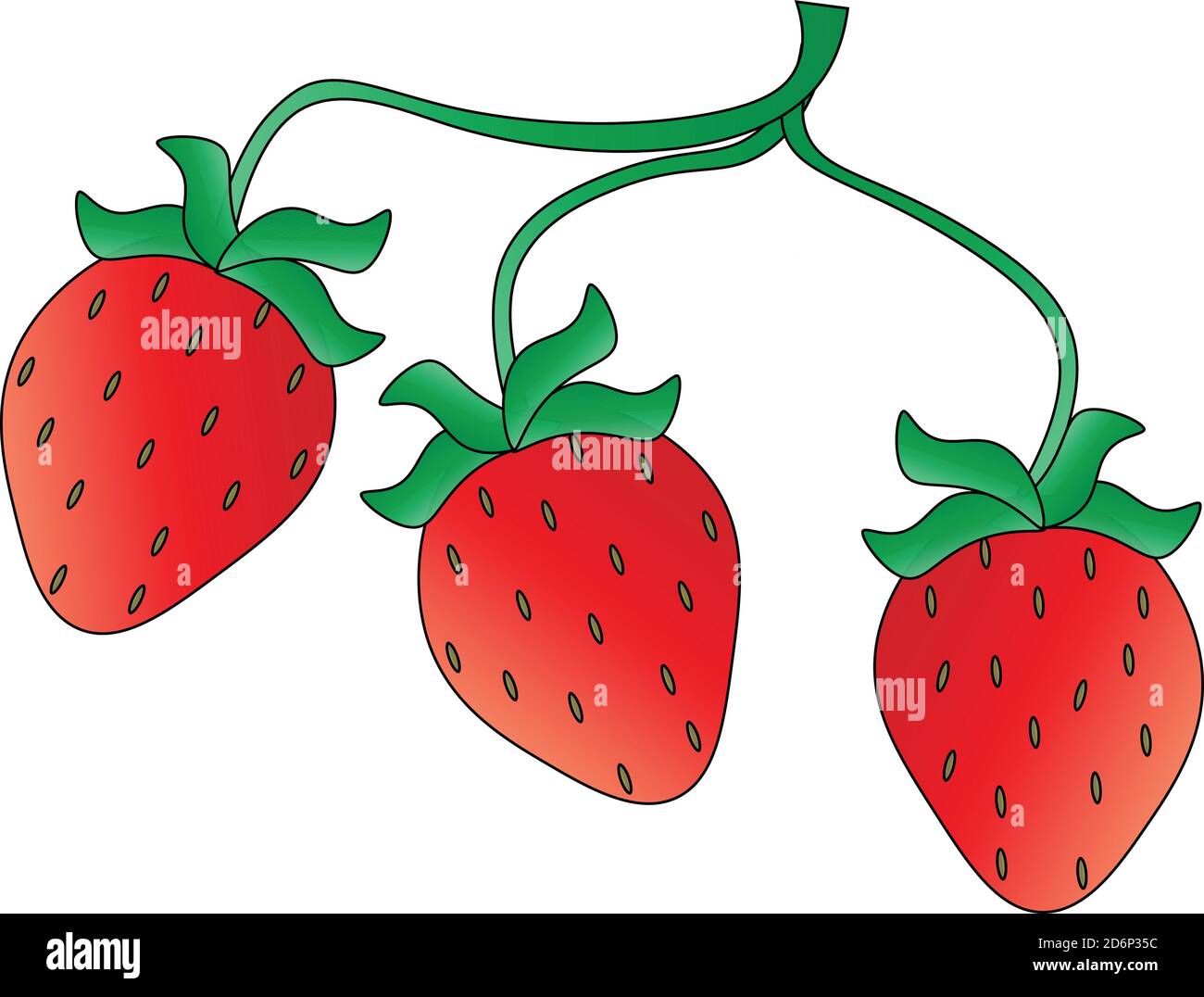Three strawberries on a branch, vector illustration Stock Vector Image ...