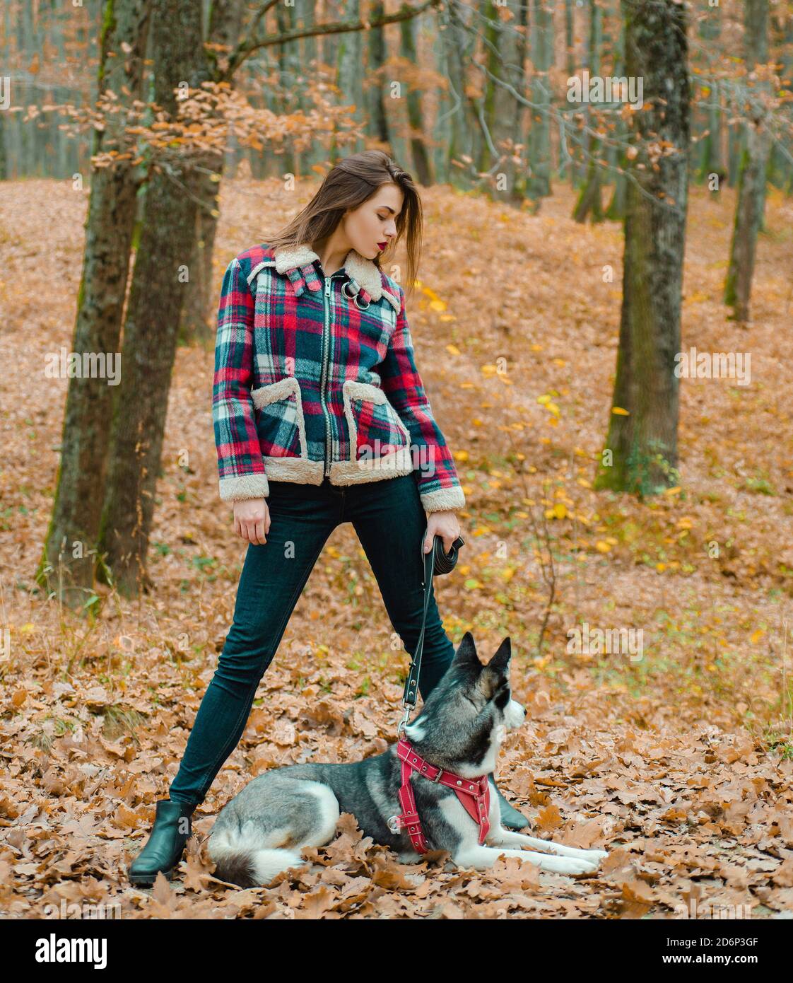 Best friends. Girl enjoy walk with husky dog. Siberian husky favorite ...