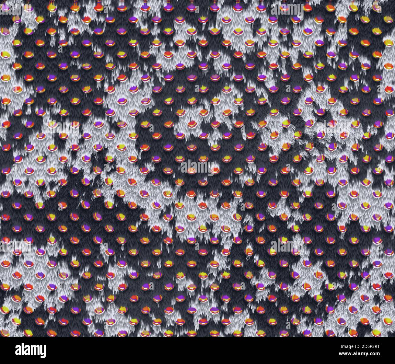 Dark blue puma fur with white spots and red, purple, yellow and orange ...