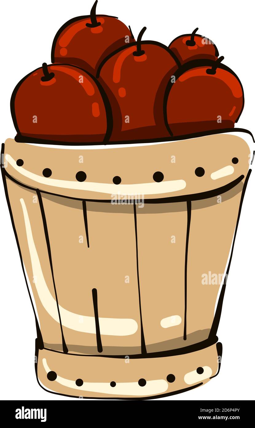 Bucket of apples, illustration, vector on white background Stock Vector ...
