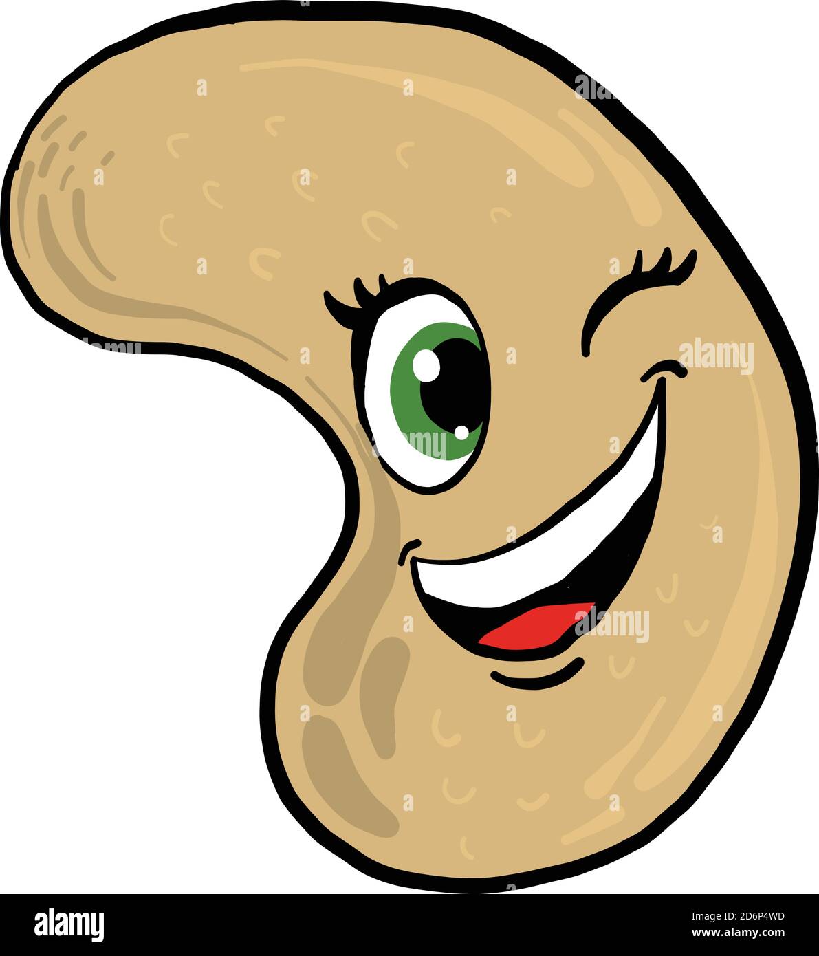 Cashew nut fruit on Stock Vector Images - Alamy