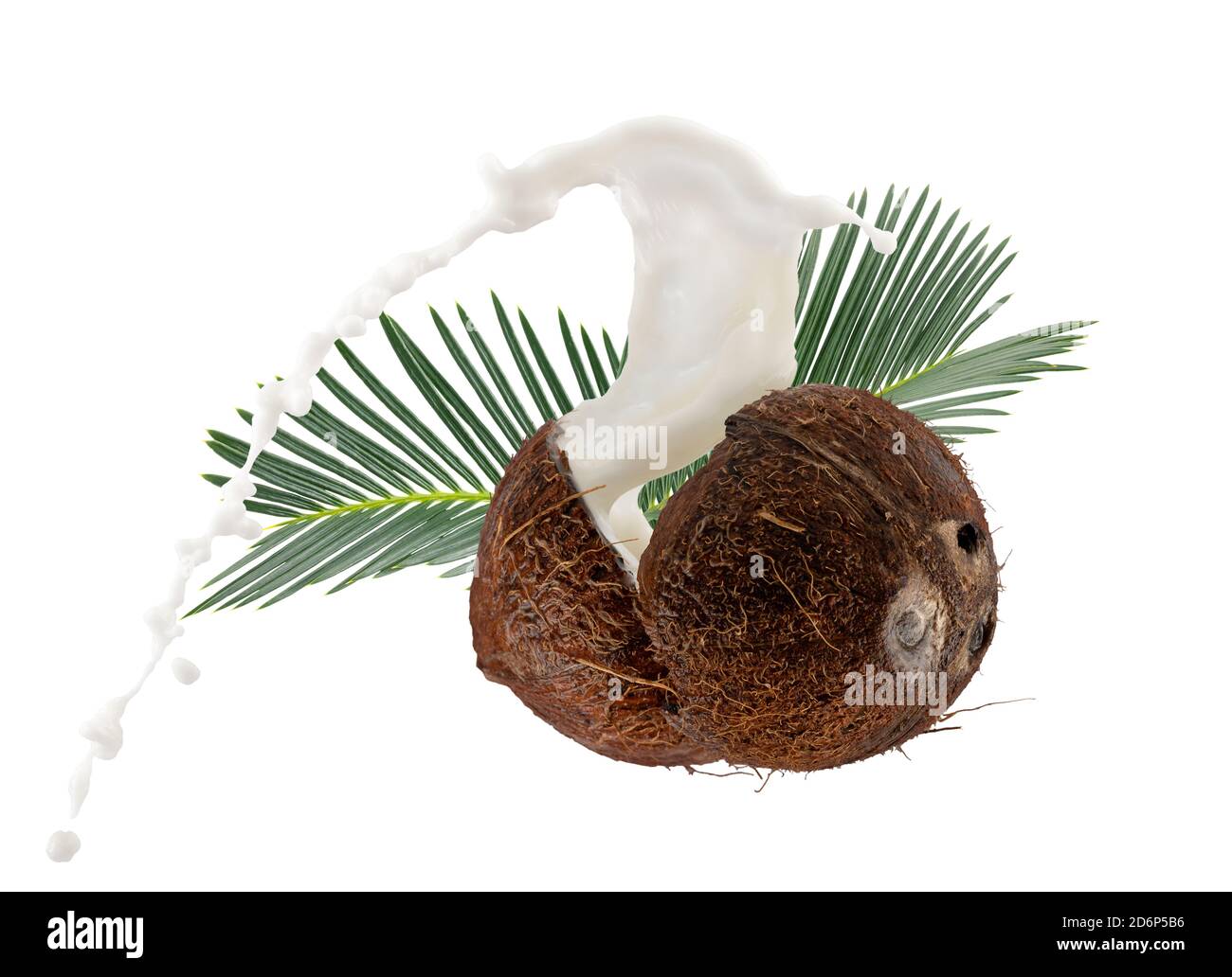 coconut halves with milk splash isolated on a white background Stock ...