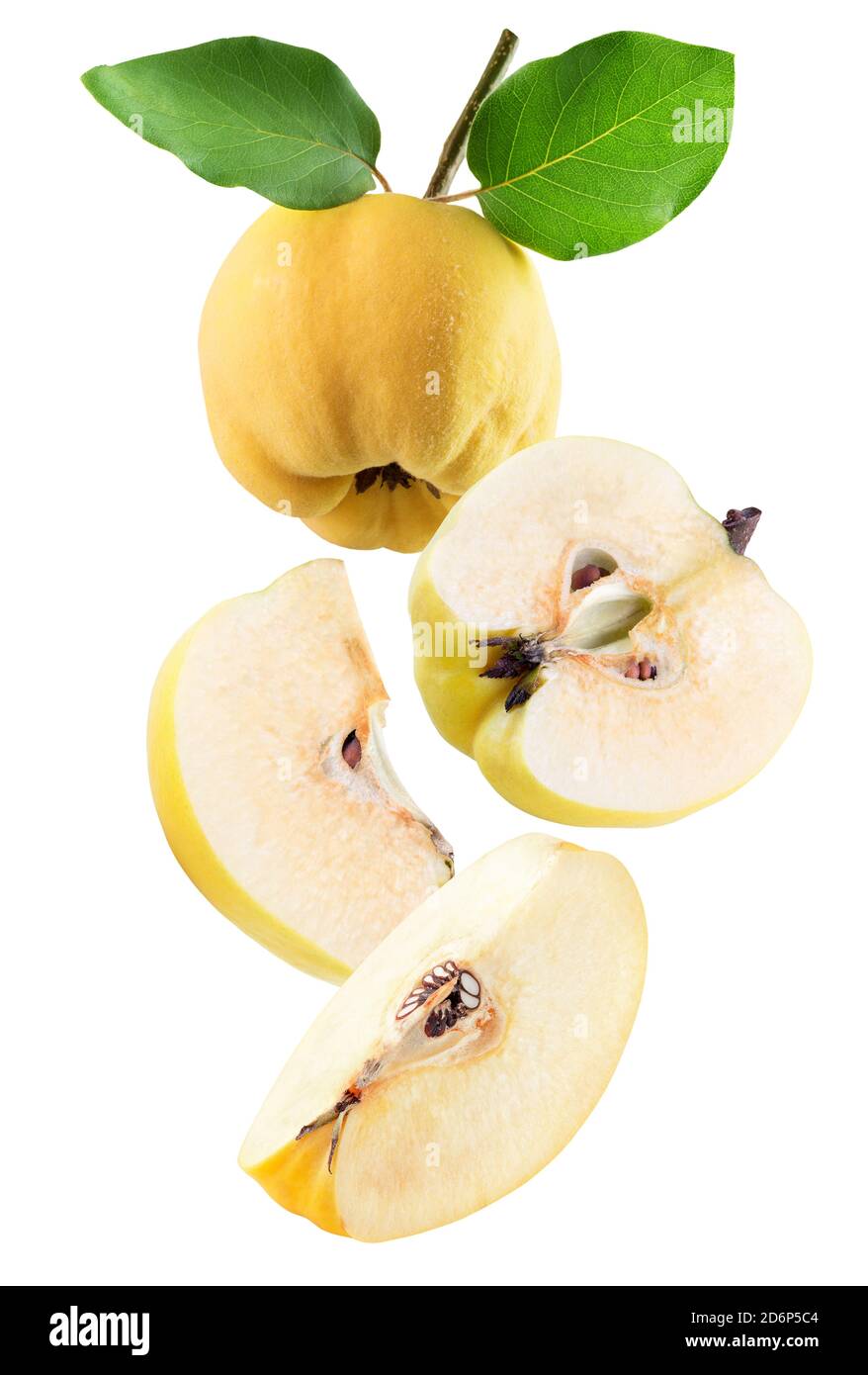 falling quince with slices isolated on a white background Stock Photo ...