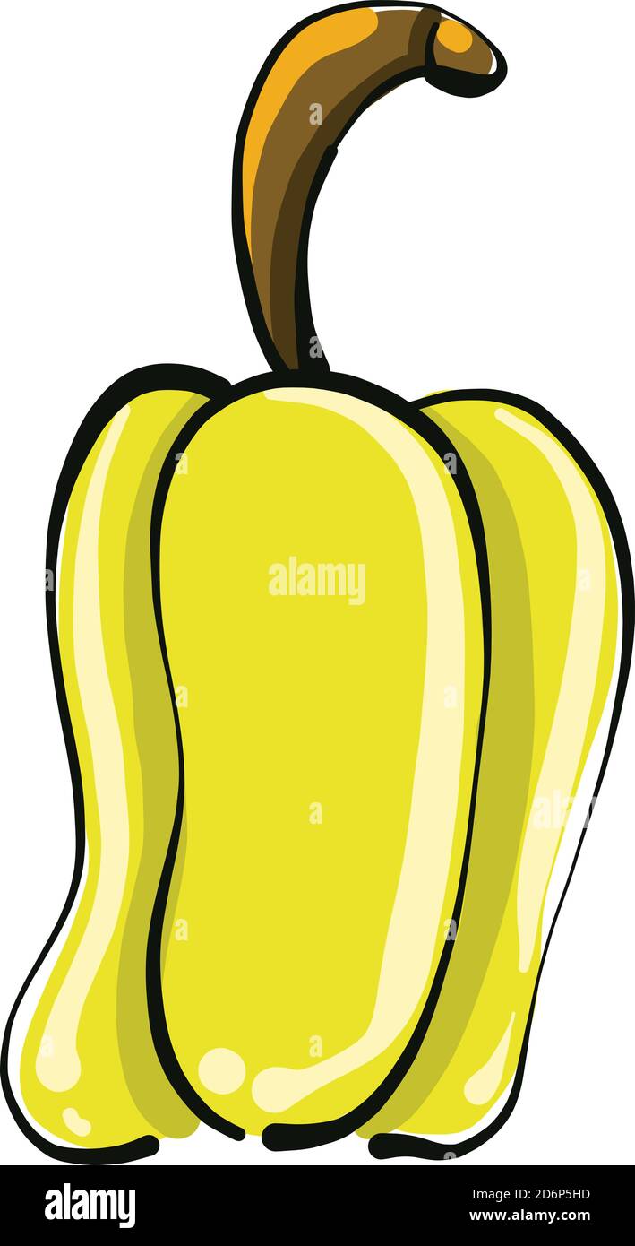 Bell pepper, illustration, vector on white background Stock Vector ...