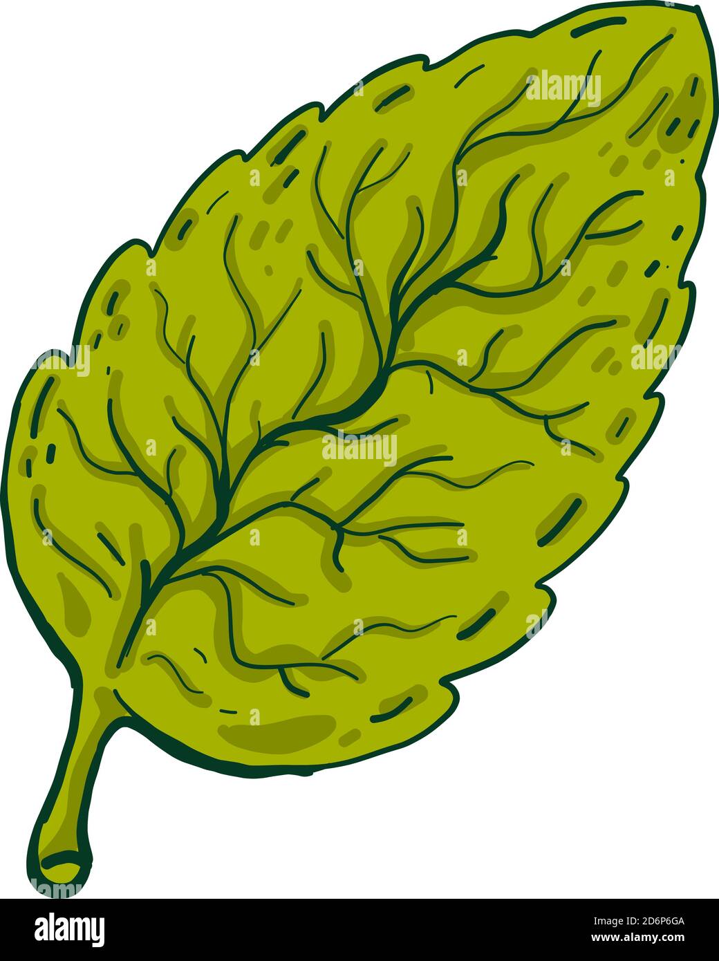 Big green leaf, illustration, vector on white background Stock Vector ...