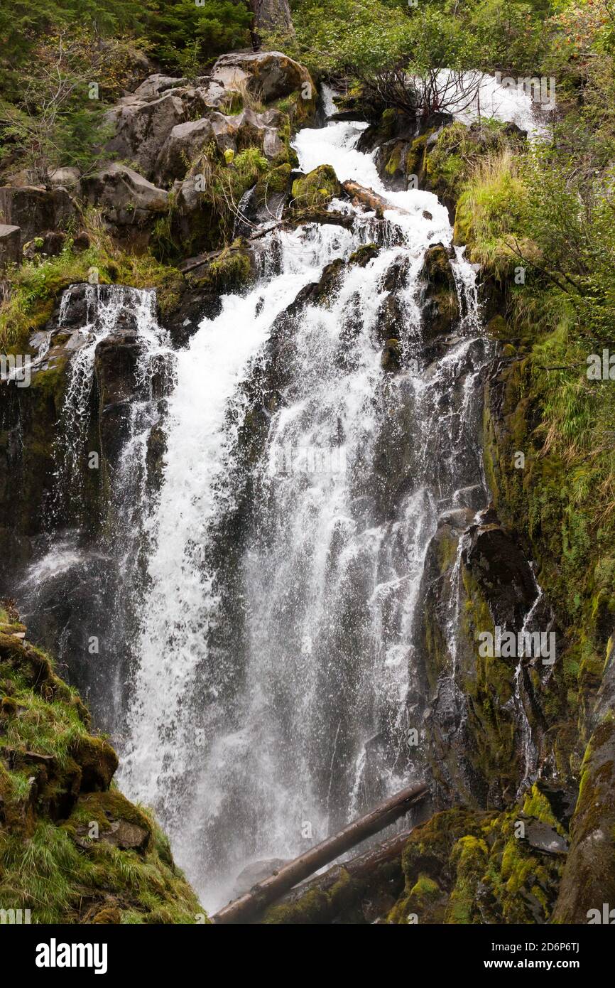 The beautiful and wild water of National Creek Falls as it rushes over ...