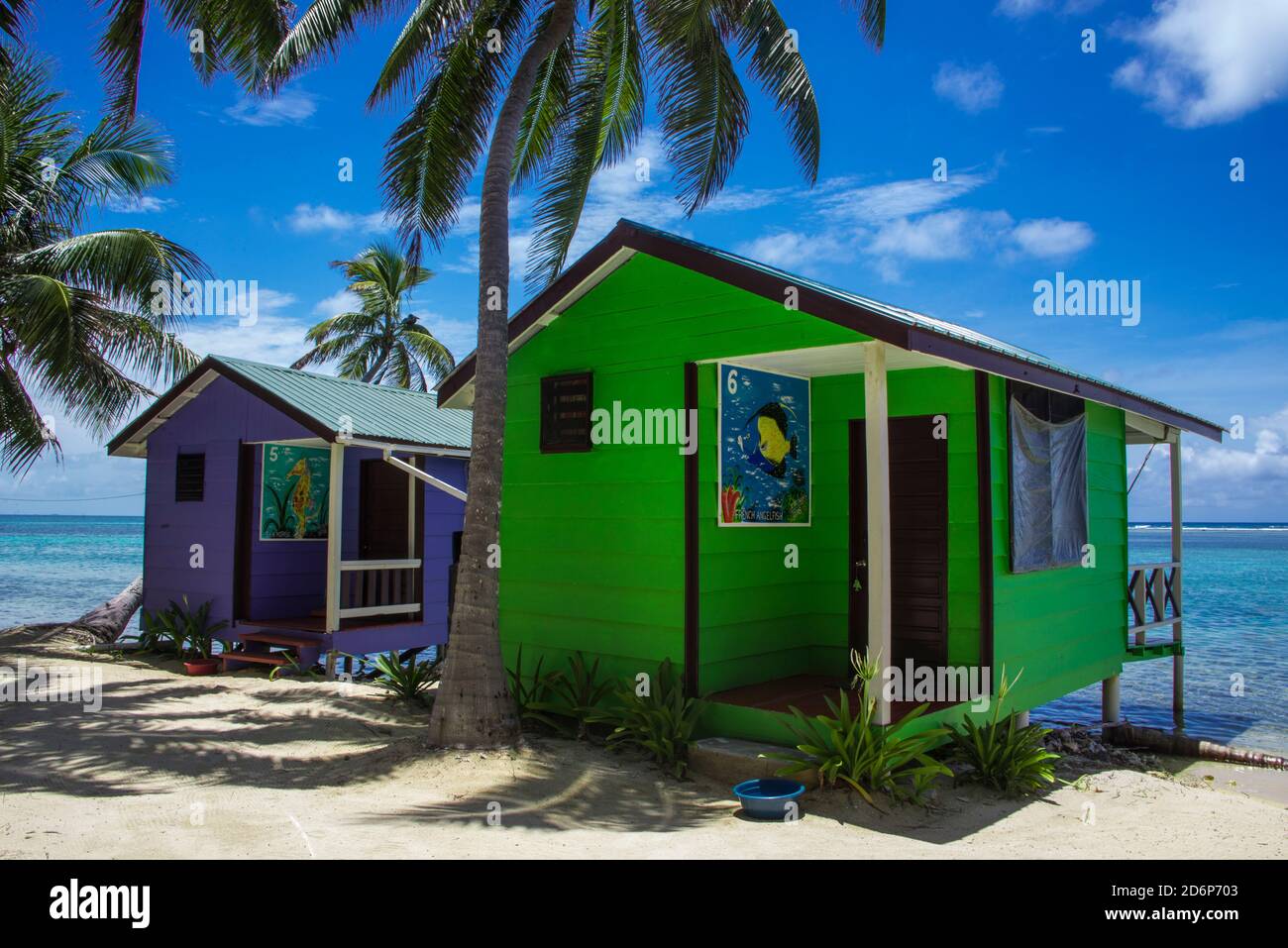 TOBACCO CAYE, STANN CREEK DISTRICT / BELIZE - JUNE 2018: Colourful ...