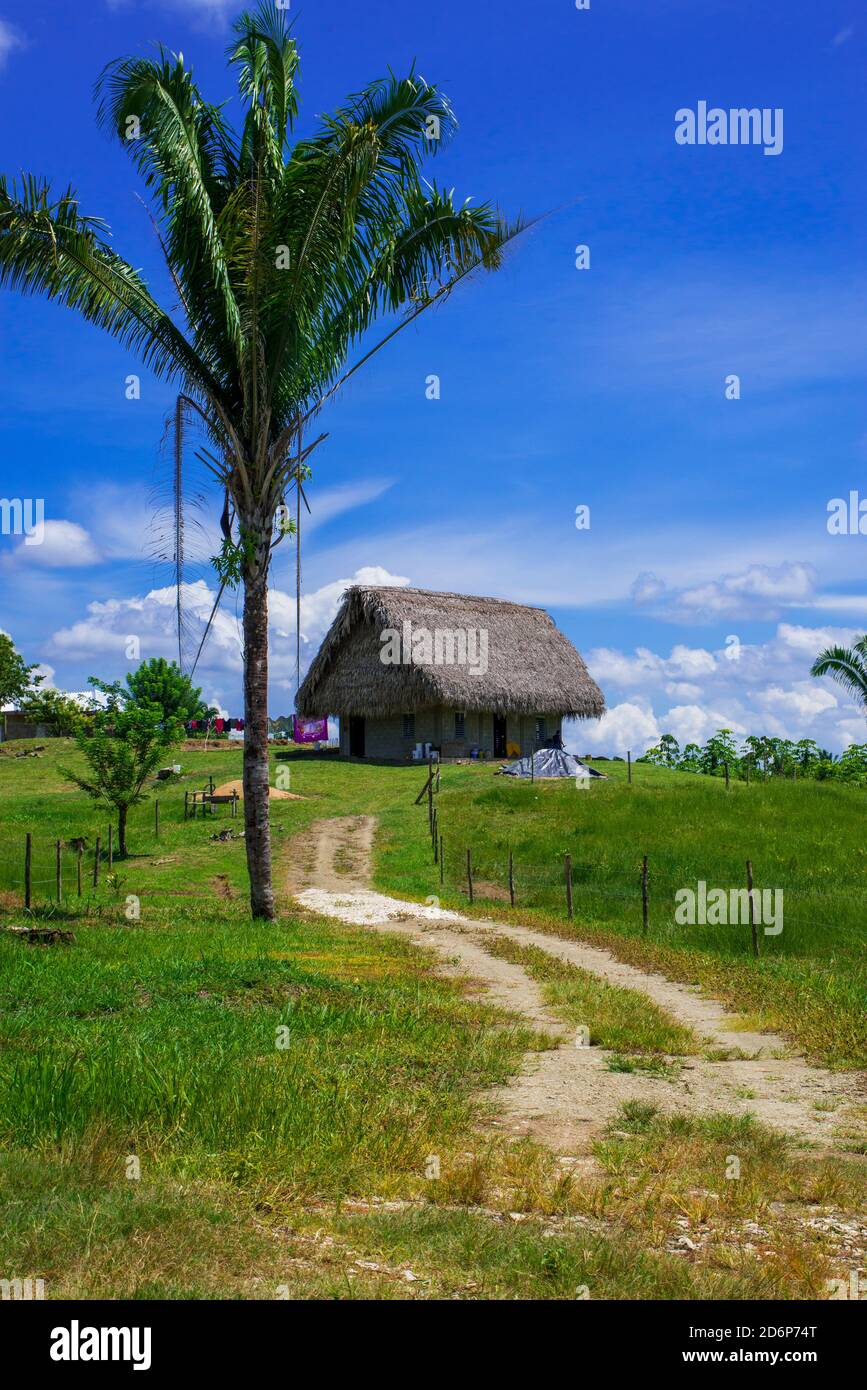 Traditional hut on the Kekchi village of San Miguel, Belize. The ...