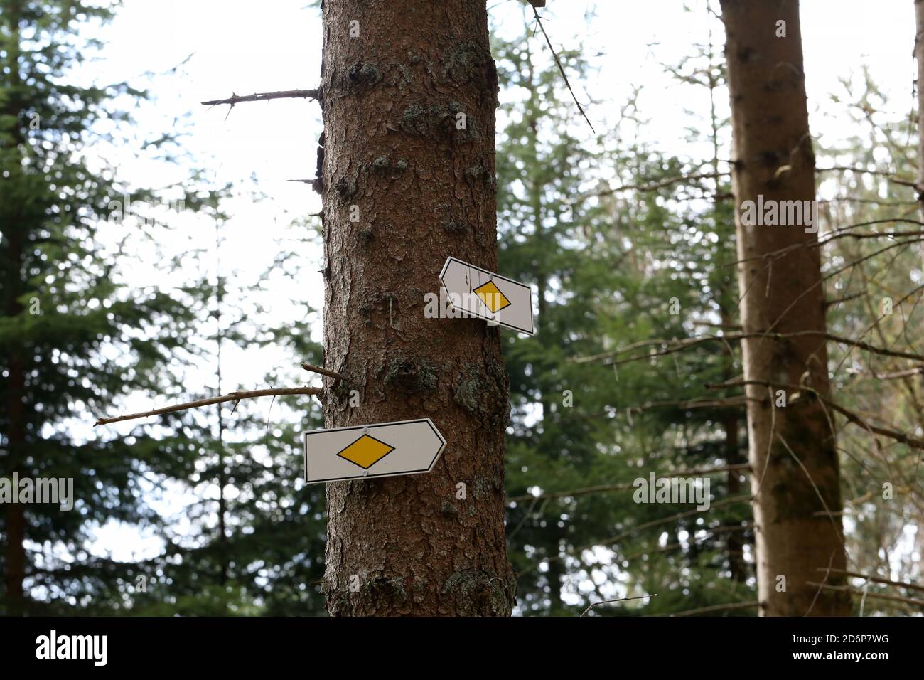 Signs road tree hi-res stock photography and images - Alamy