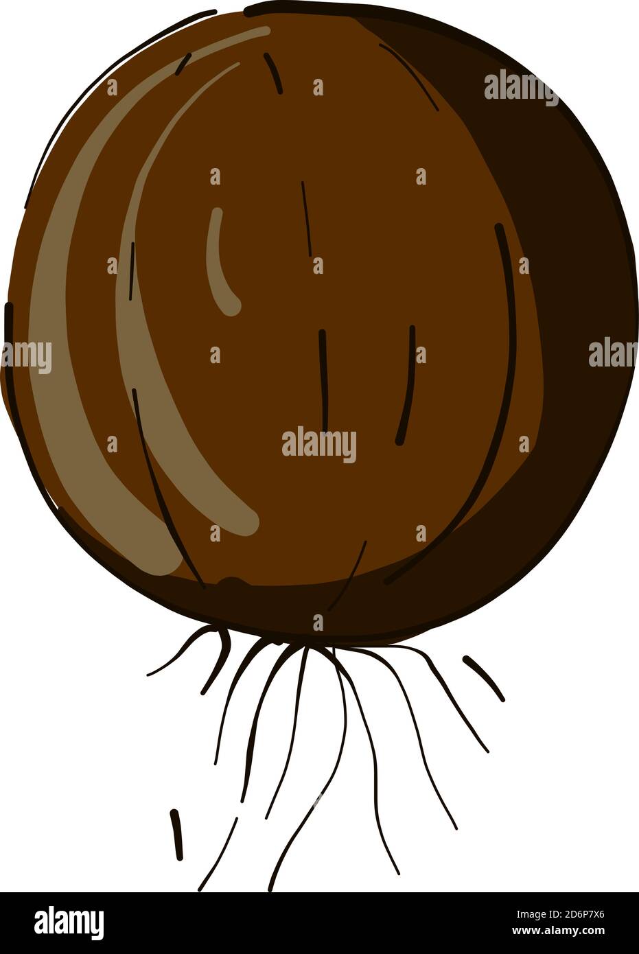 Green coco leaf Stock Vector Images - Alamy