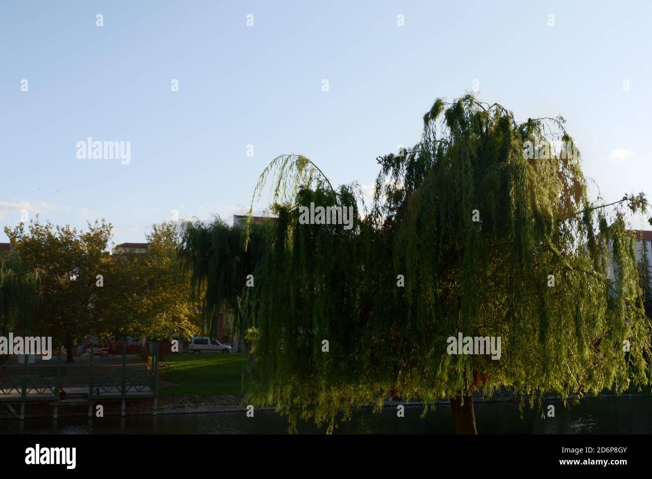 Bushes and trees hi-res stock photography and images - Alamy