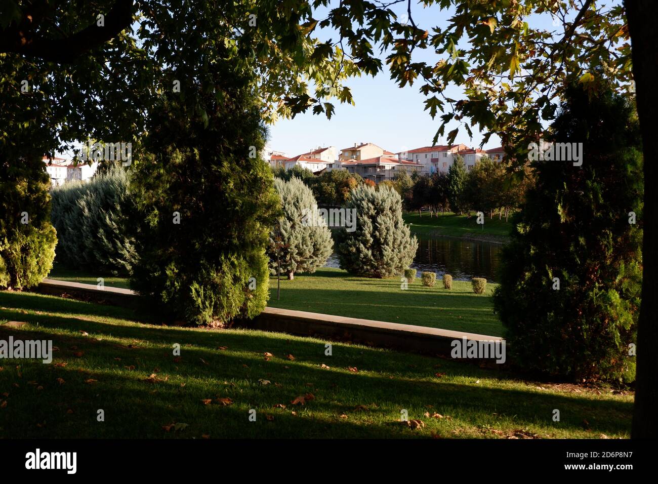 Bushes and trees hi-res stock photography and images - Alamy