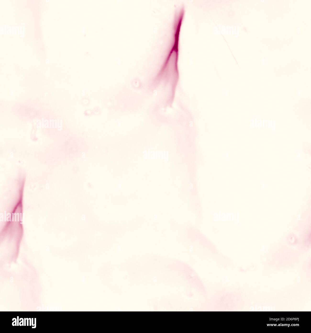 Alcohol ink pink seamless background. Trendy Stock Photo - Alamy