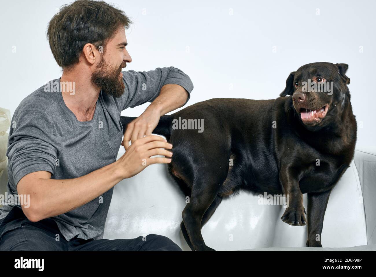 Happy man and dog on the couch In a bright room pet is a friend of man ...