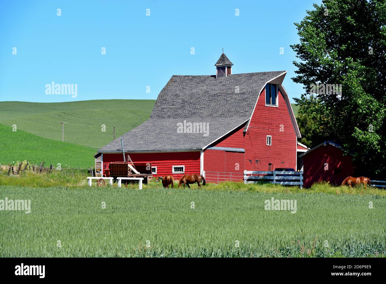 Red Barn of the Palouse Region, Washington-USA Stock Photo - Alamy