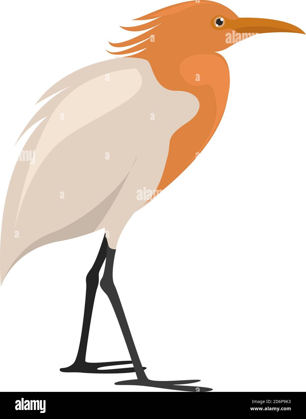Interesting bird, illustration, vector on white background Stock Vector ...