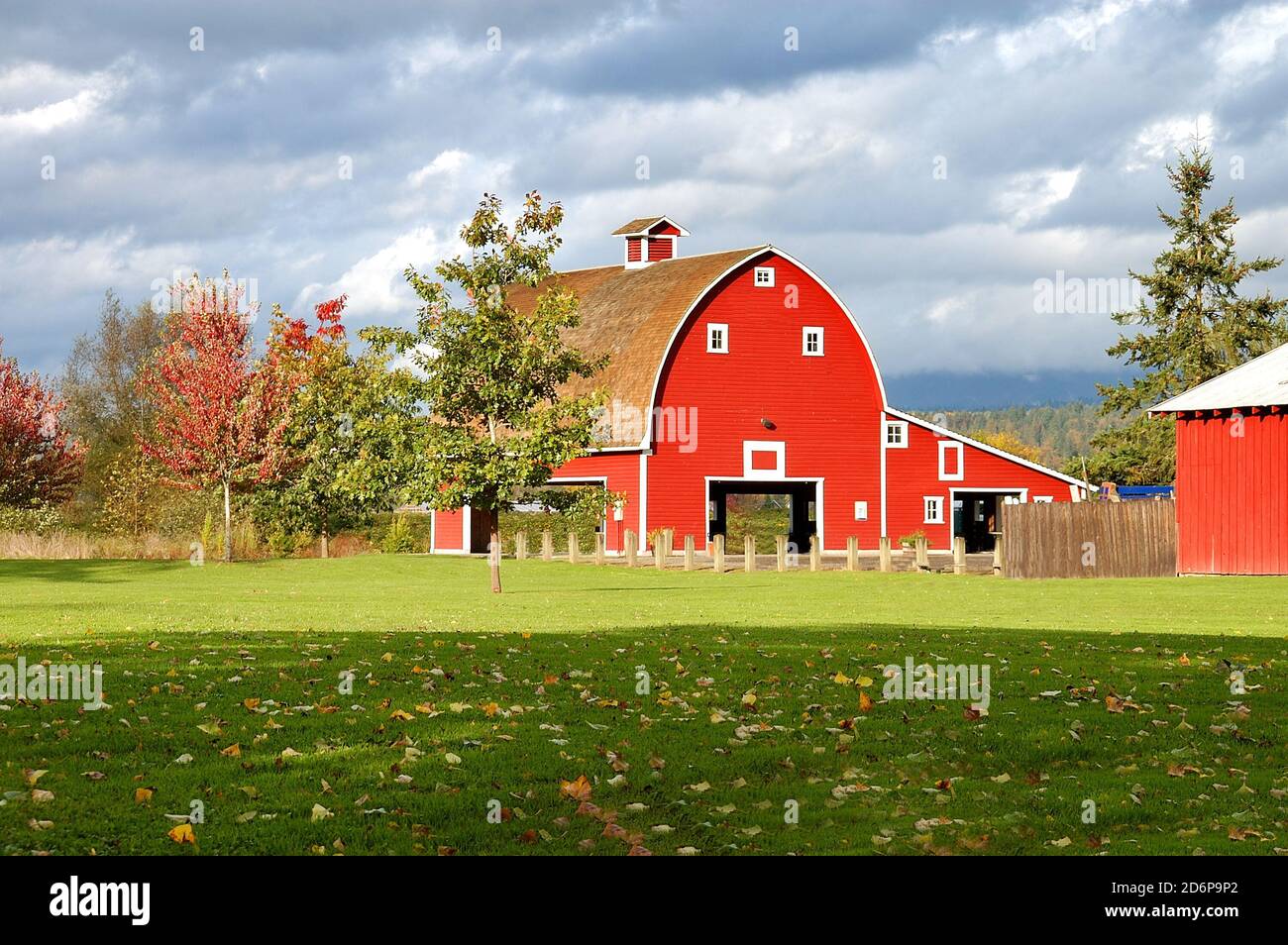 Red maple campground hi-res stock photography and images - Alamy