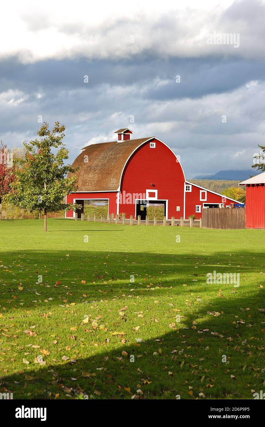 Tolt macdonald park hi-res stock photography and images - Alamy