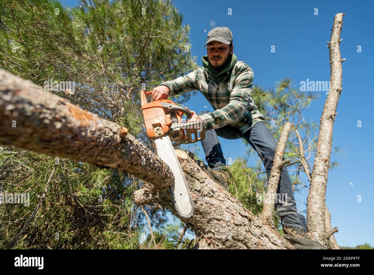 Low angle shot of a young Caucasian man cutting a tree trunk with a ...