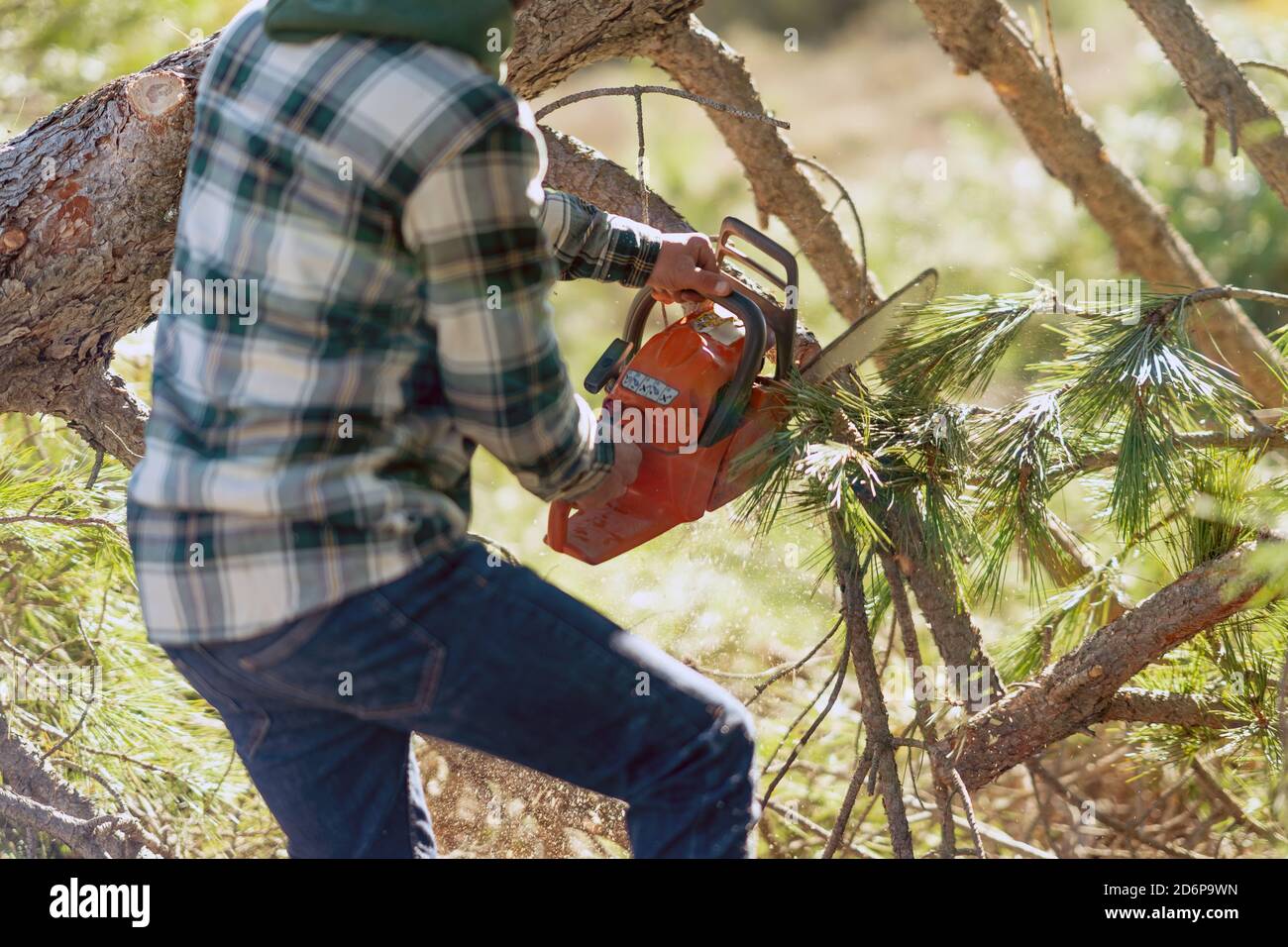 Man cutting wood chainsaw countryside hi-res stock photography and ...