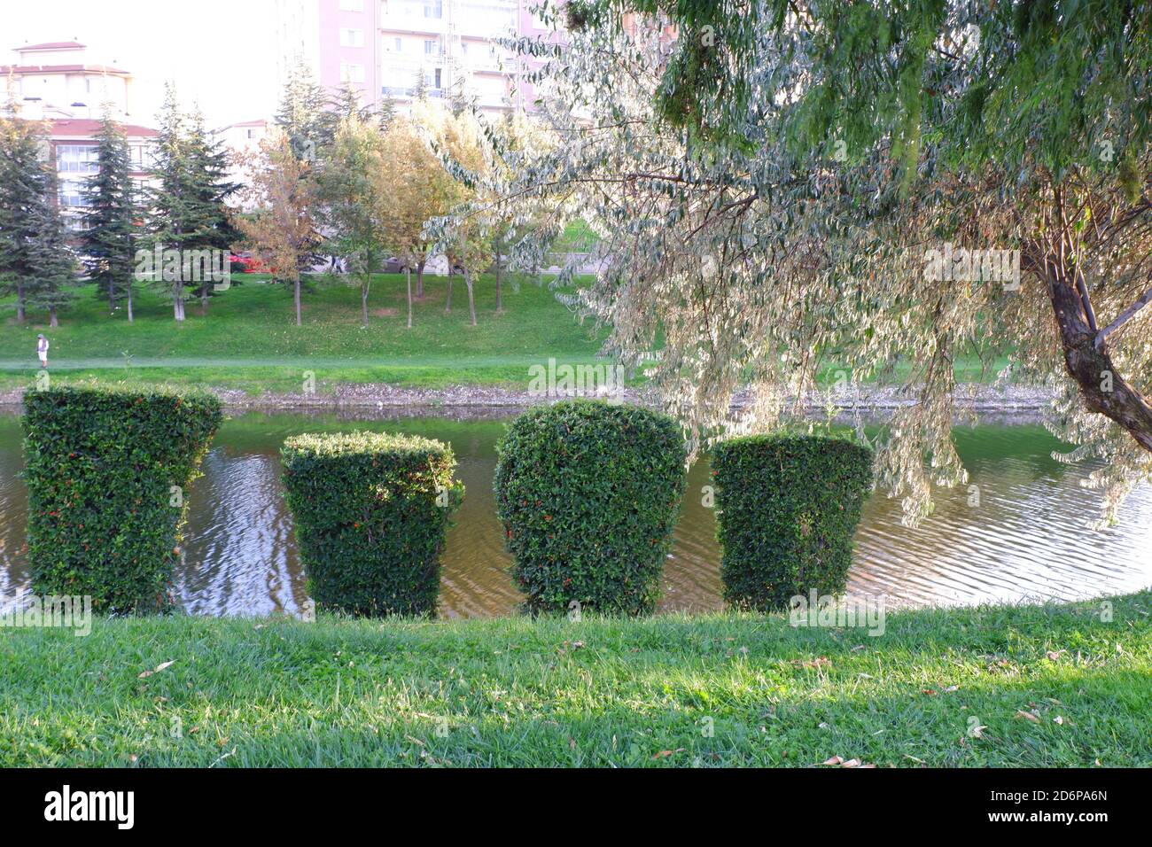 Calilar hi-res stock photography and images - Alamy