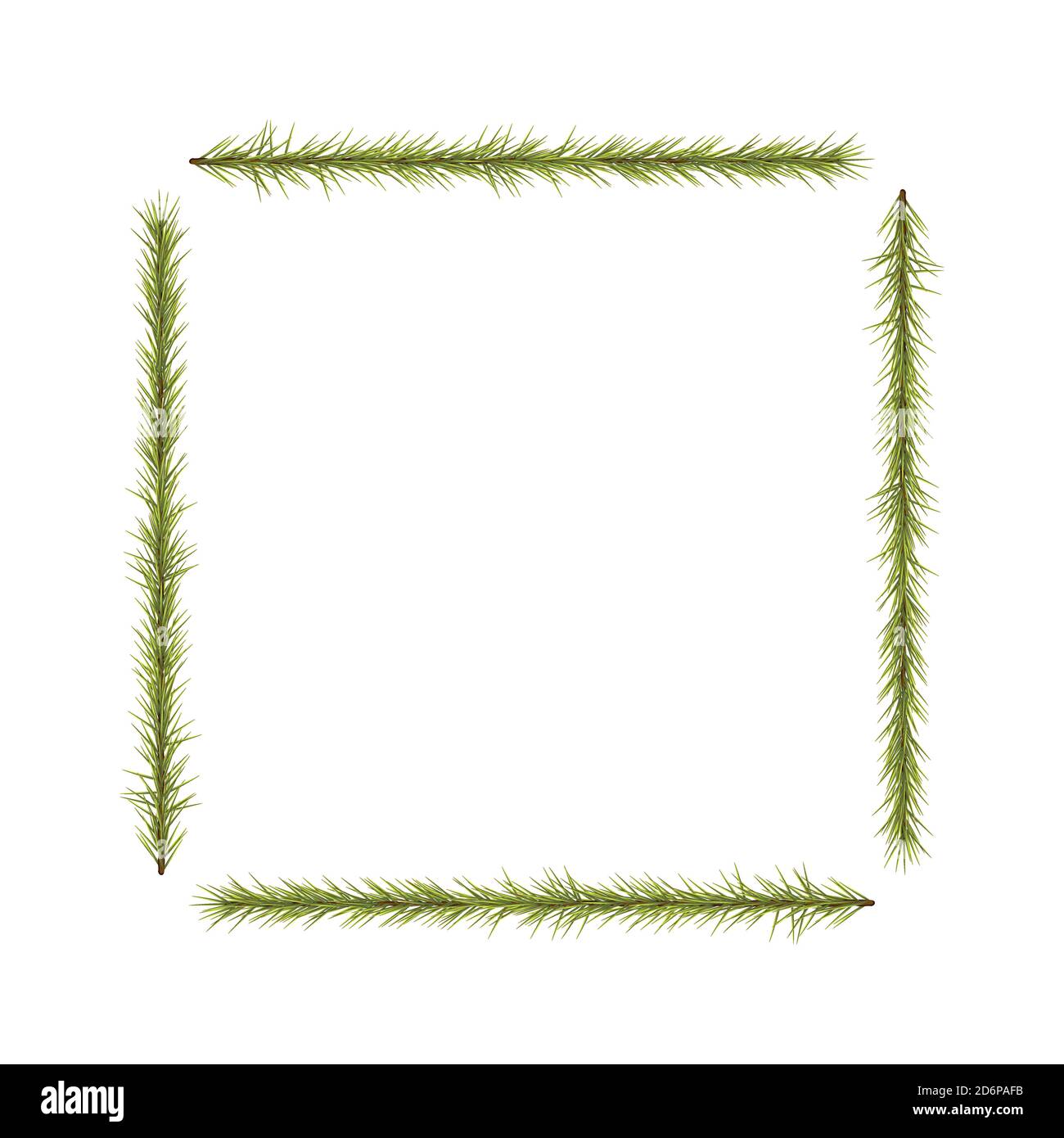 Frame of christmas tree branches on a white background. Christmas ...