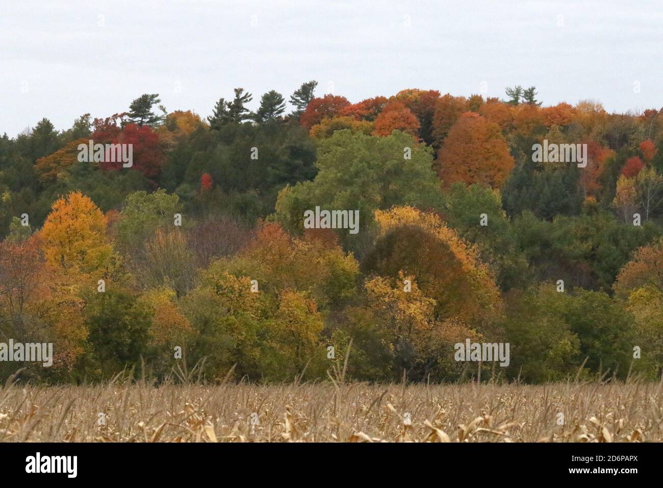 Fall weather in Ontario Stock Photo - Alamy