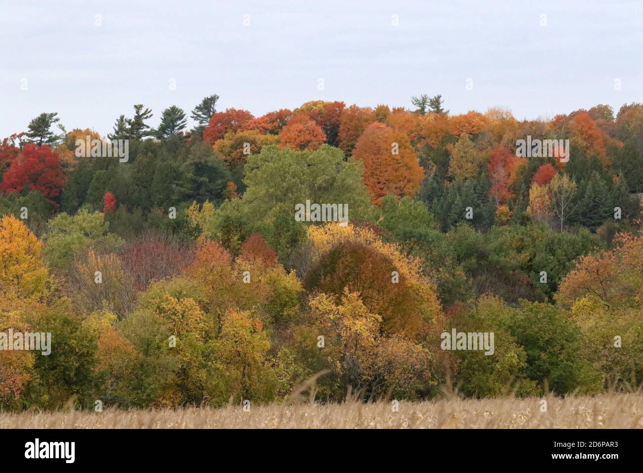 Fall weather in Ontario Stock Photo - Alamy
