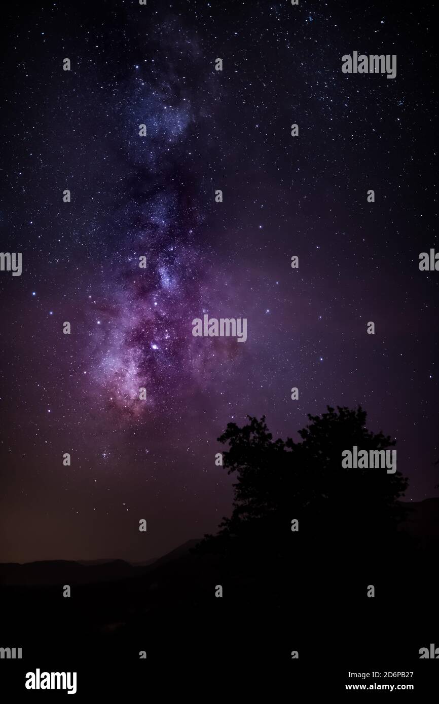 The Milky Way and some trees Stock Photo - Alamy