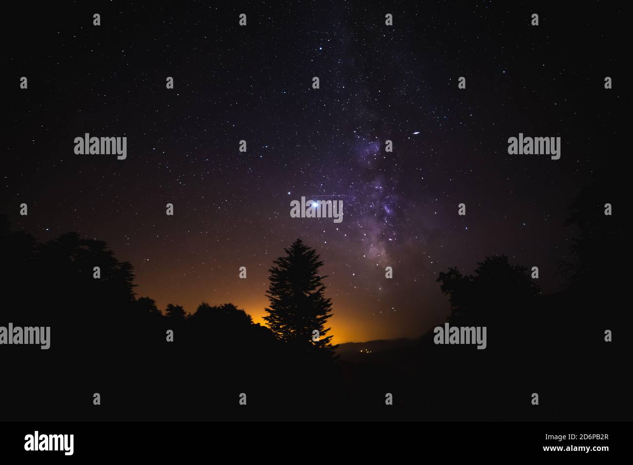 The Milky Way and some trees Stock Photo - Alamy