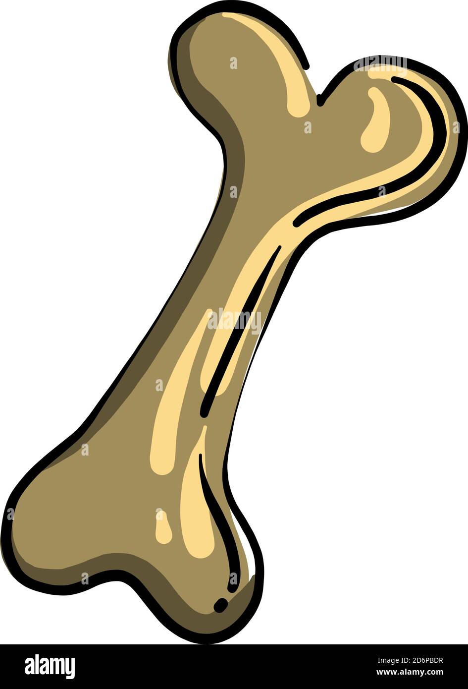 Human bone, illustration, vector on white background Stock Vector Image ...