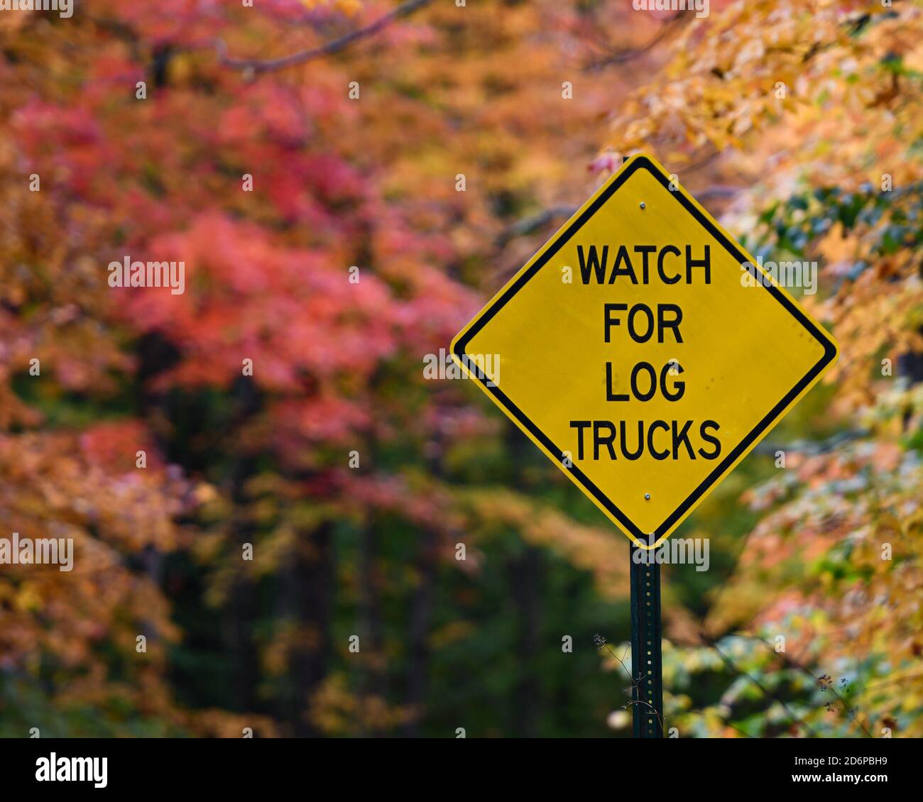 A watch for log trucks sign on a logging road in the Adirondack ...